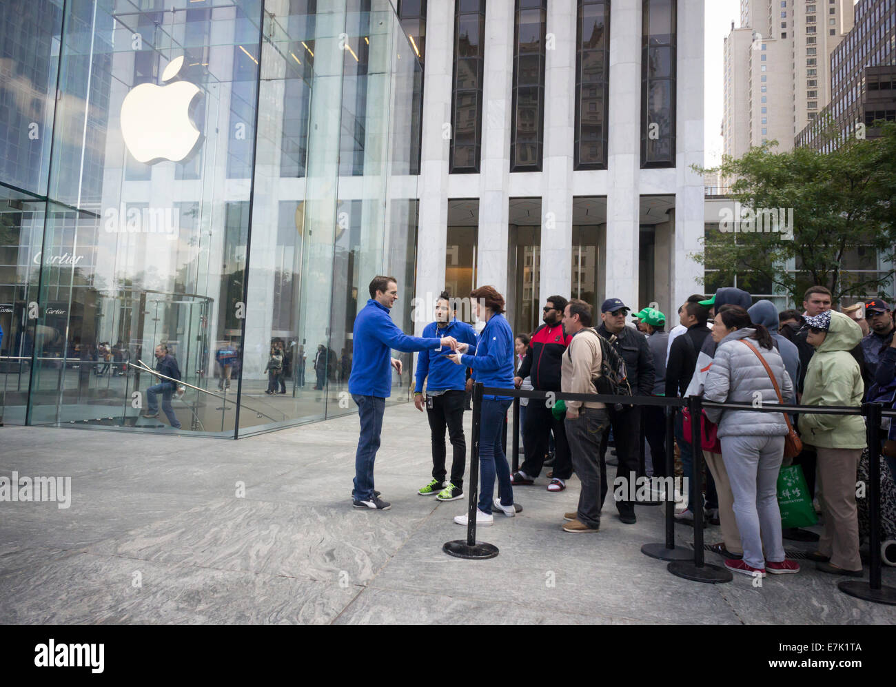 6 8 cell hi-res stock photography and images - Alamy