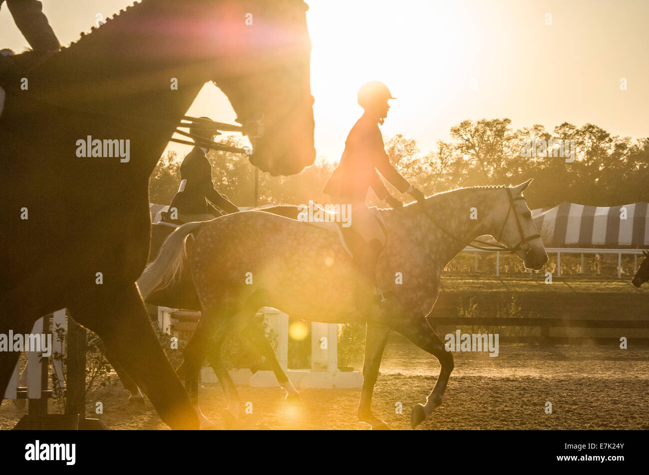 Teen girls and horses competing hunt seat event Stock Photo - Alamy