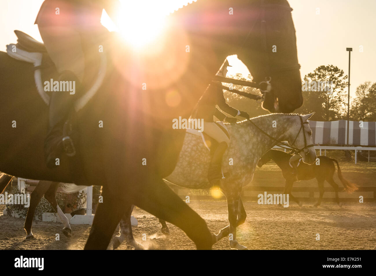 Teen girls and horses competing hunt seat event Stock Photo - Alamy