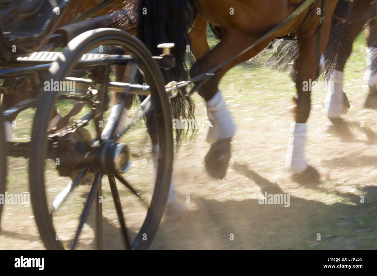 Horses pulling wagon hi-res stock photography and images - Alamy