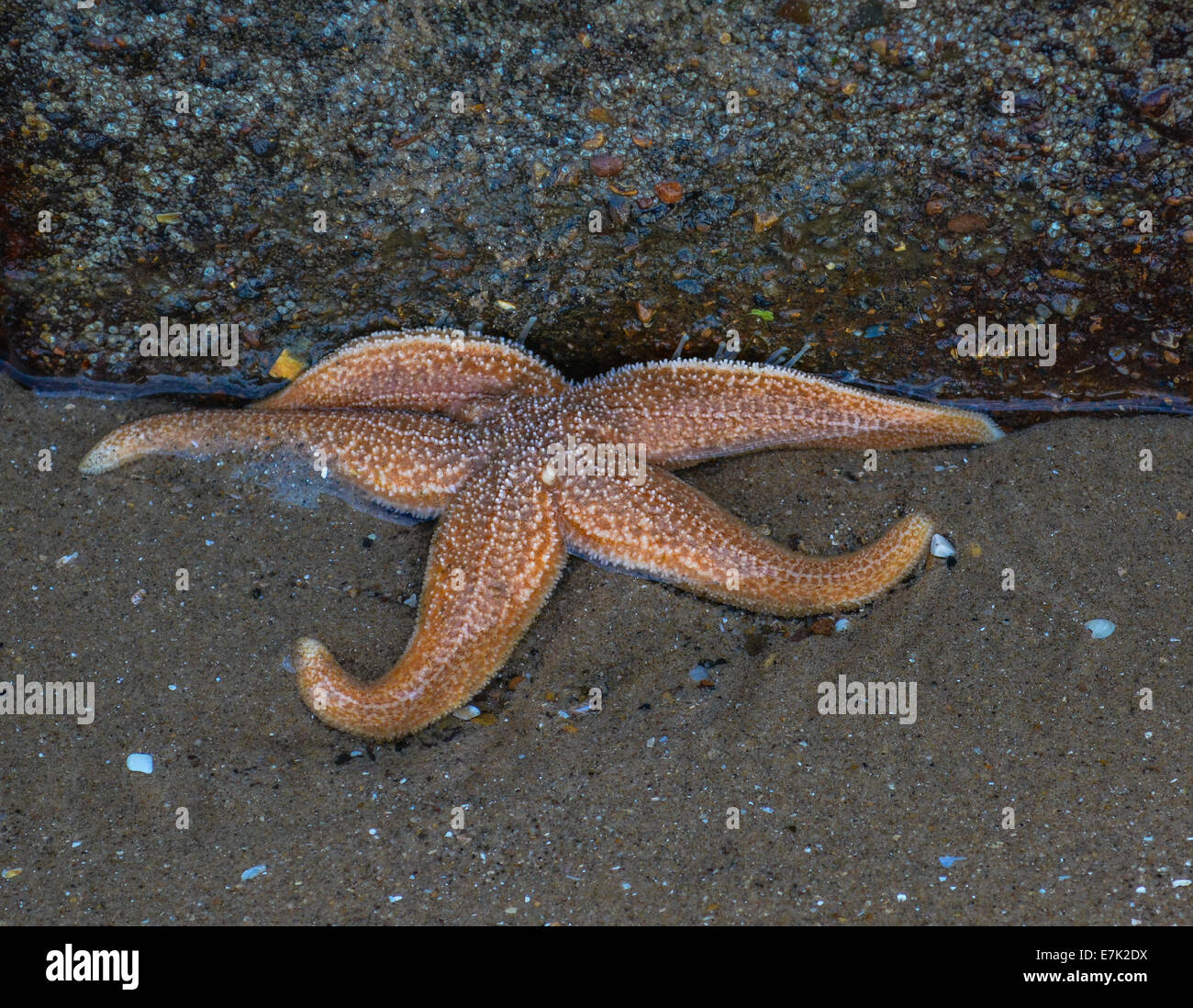 Stranded At Sea High Resolution Stock Photography and Images - Alamy