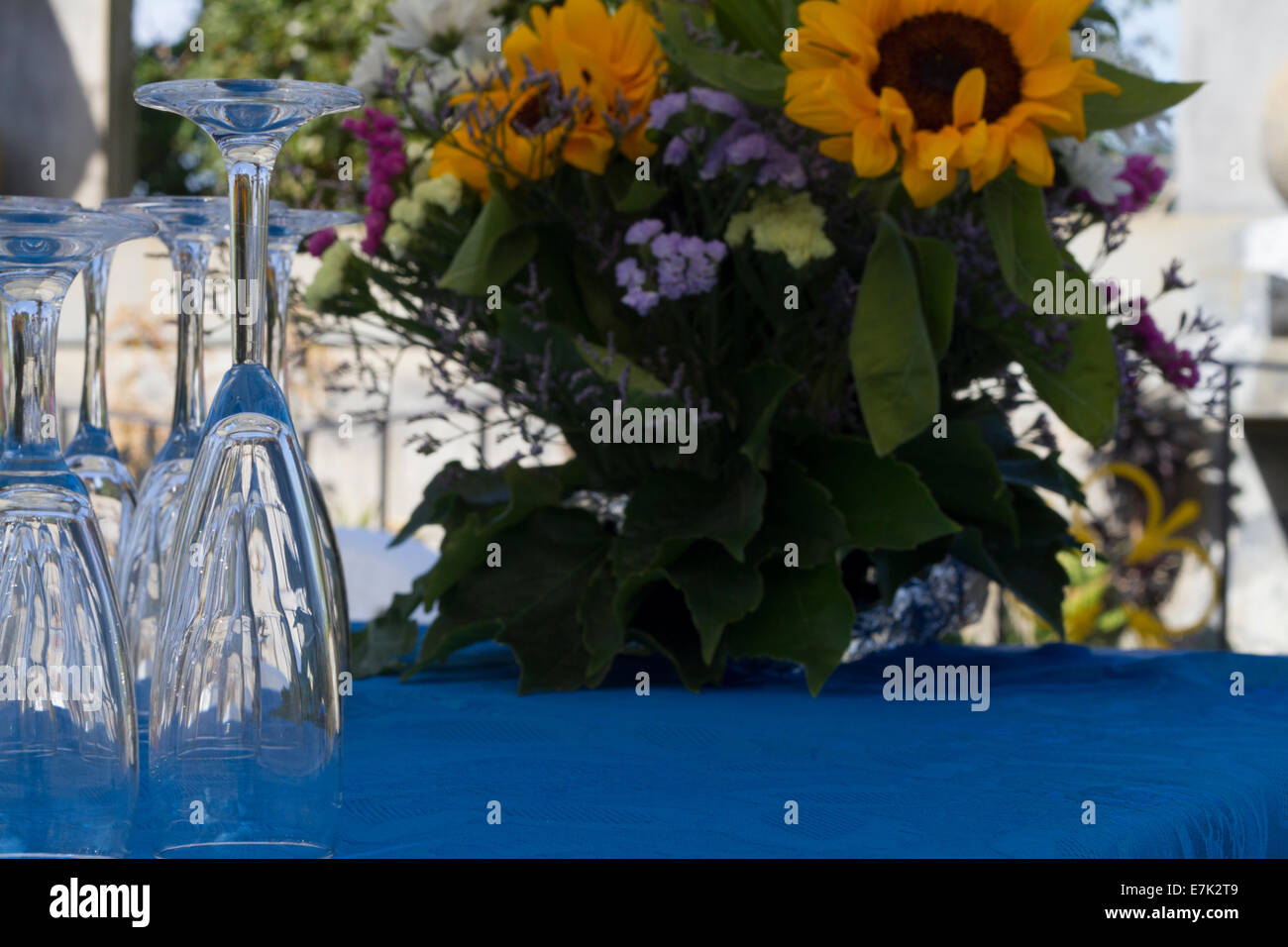 Photography detail hi-res stock photography and images - Alamy