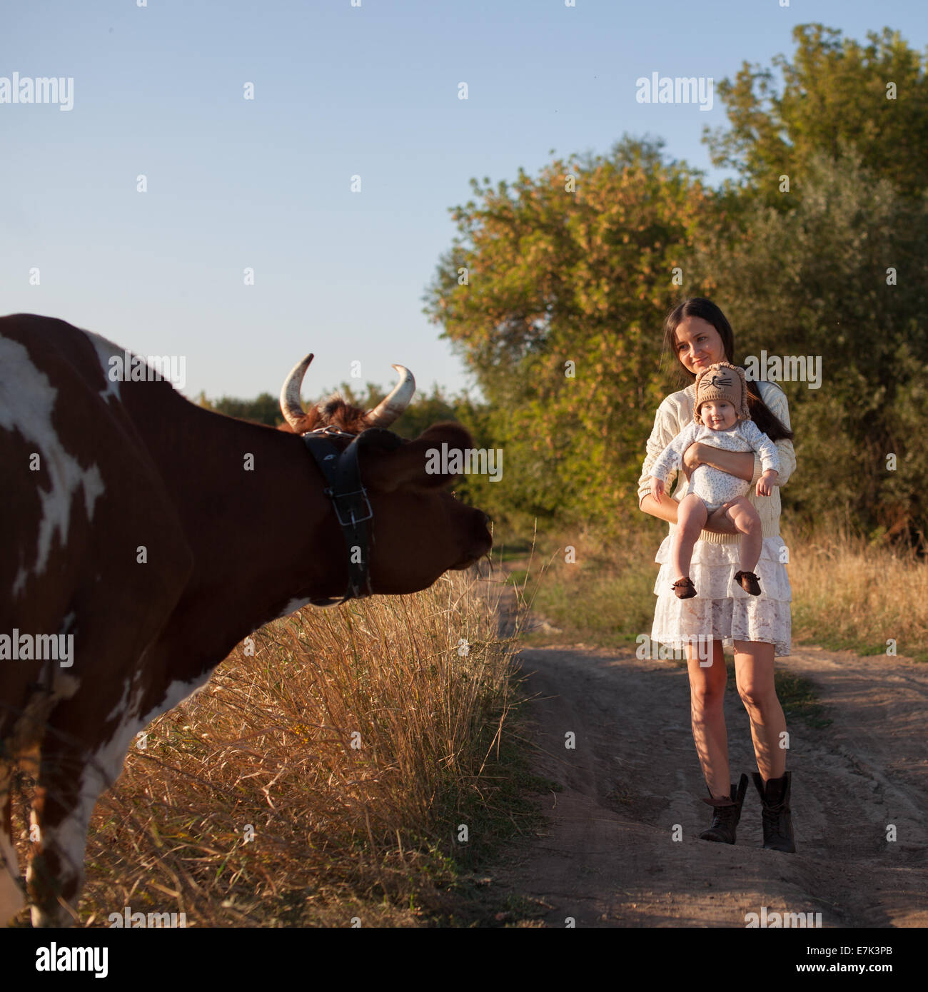 baby meets a cow Stock Photo - Alamy