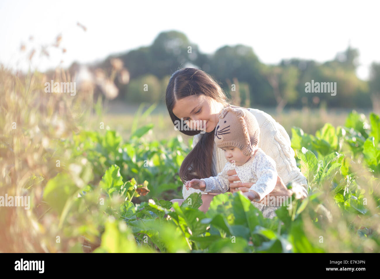 Mother and child in field Stock Photo - Alamy