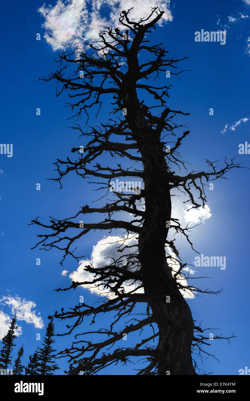 Dead mountains wilderness area hi-res stock photography and images - Alamy