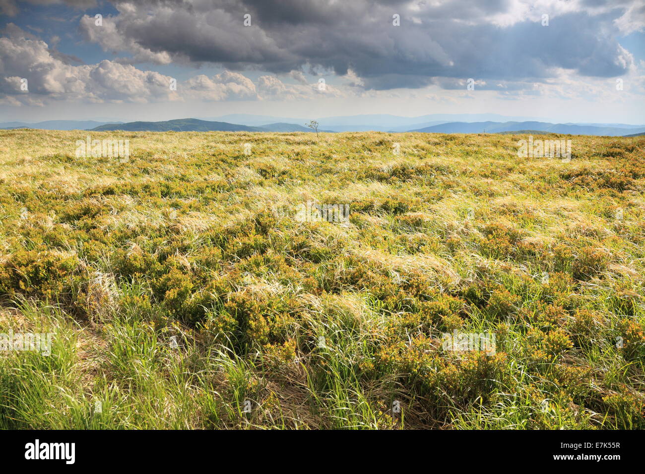 Mountains hills landscape Bieszczady Poland Stock Photo - Alamy