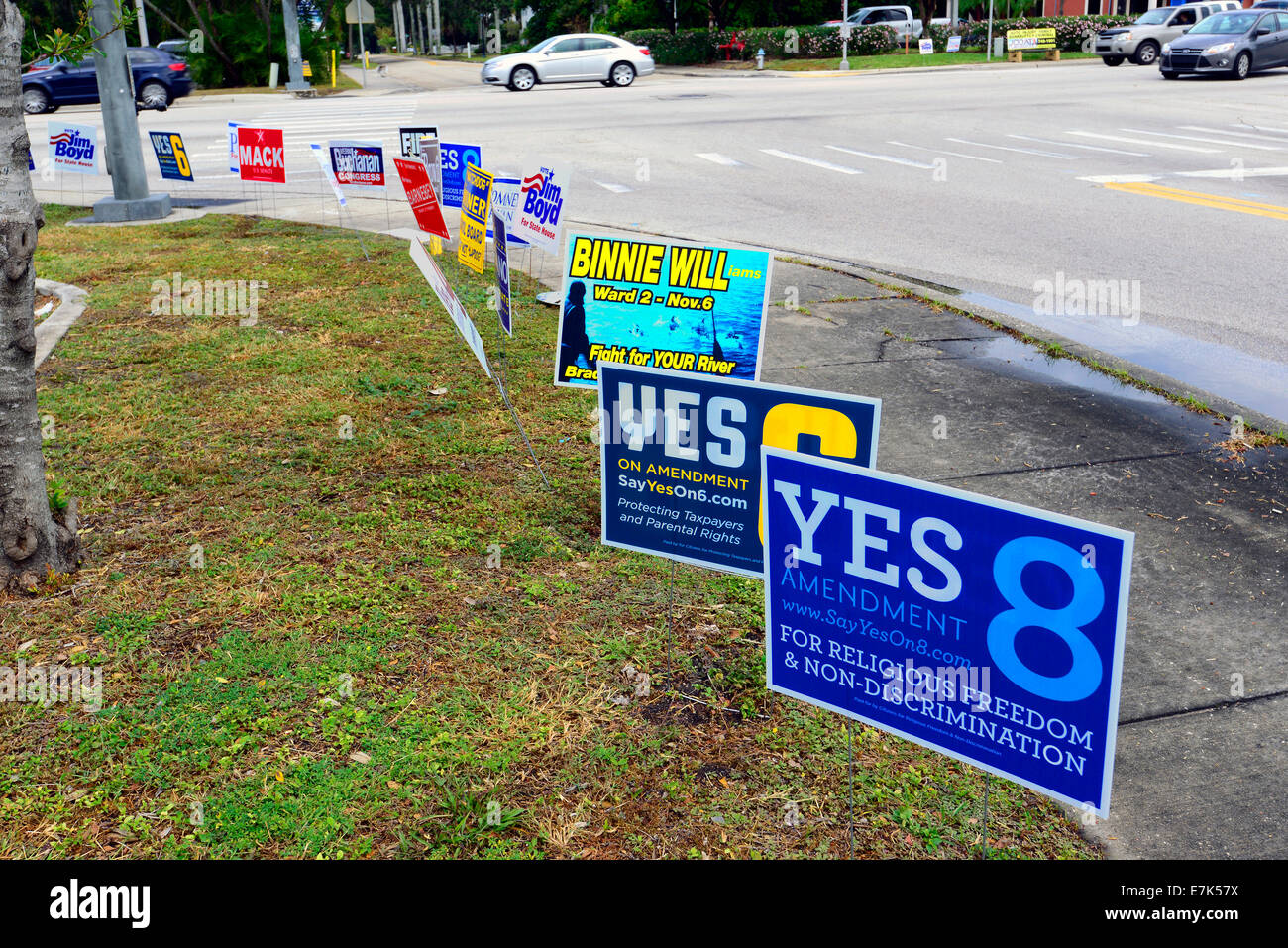 Political signs clutter the side of thte road Stock Photo - Alamy