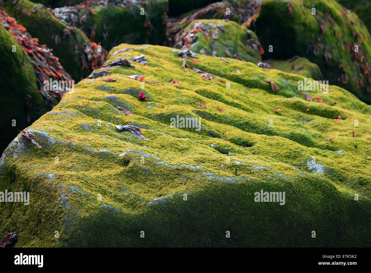 Rock ripple hi-res stock photography and images - Alamy
