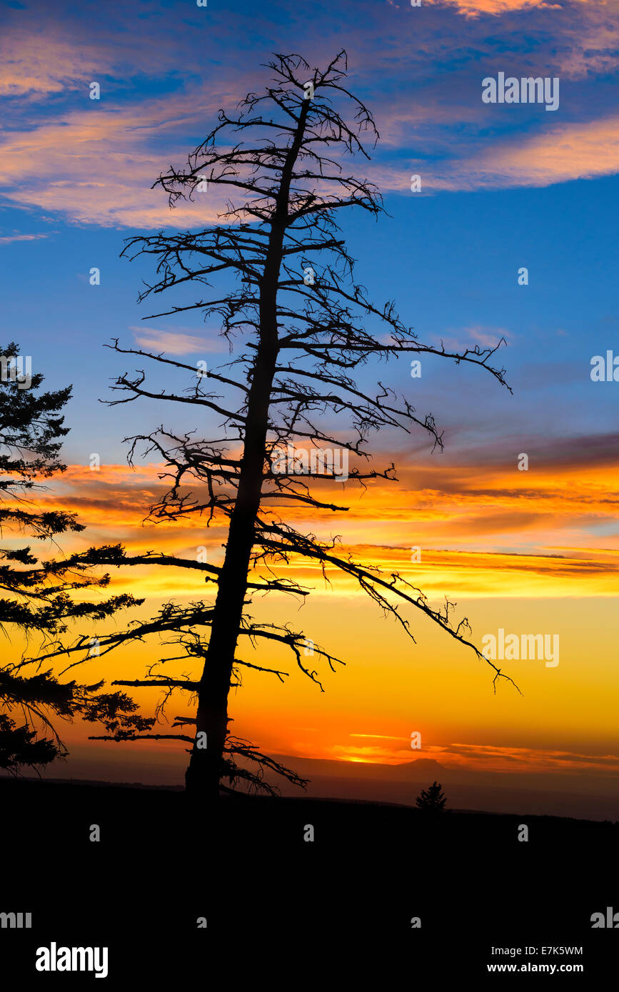 Sunset in Oregon's Blue Mountains Stock Photo - Alamy