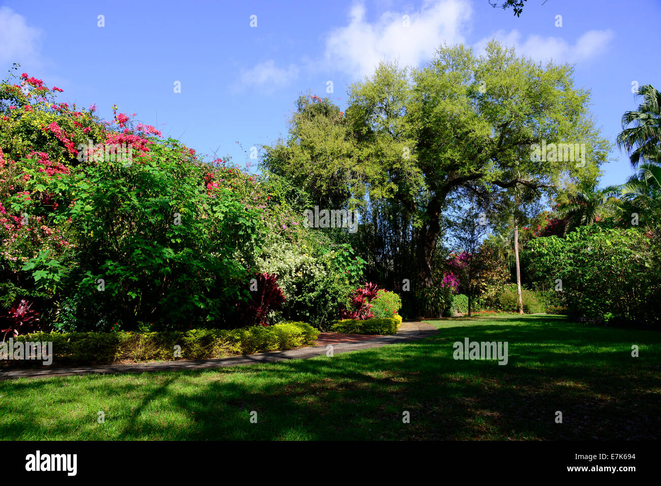 Sunken Gardens Botanical Walk St. Petersburg FL US Stock Photo - Alamy