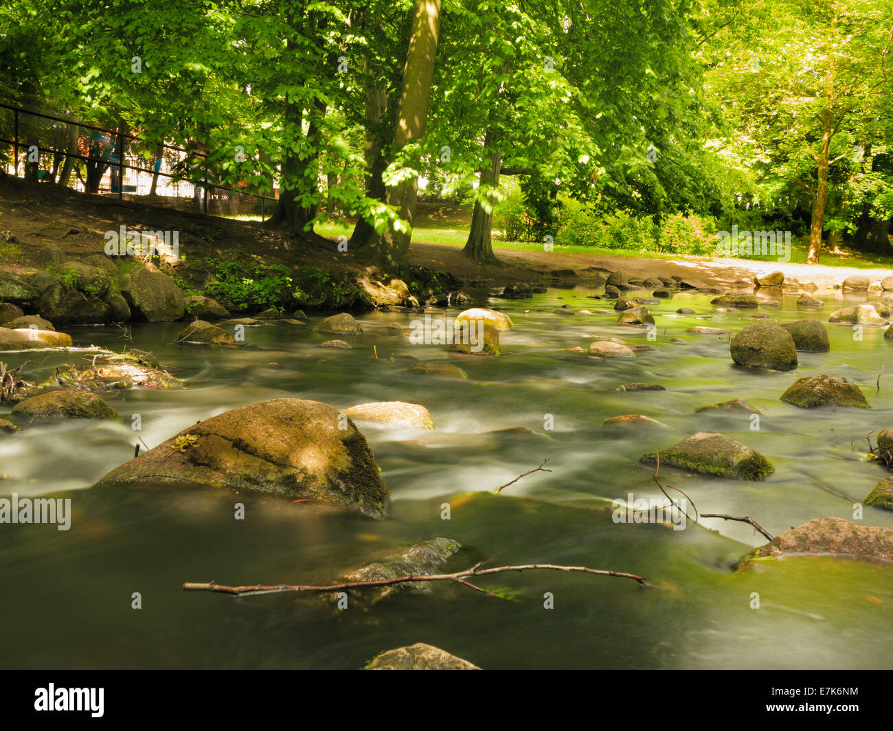 stones in woods forest outdoor. stream in gdansk danzig polish city ...