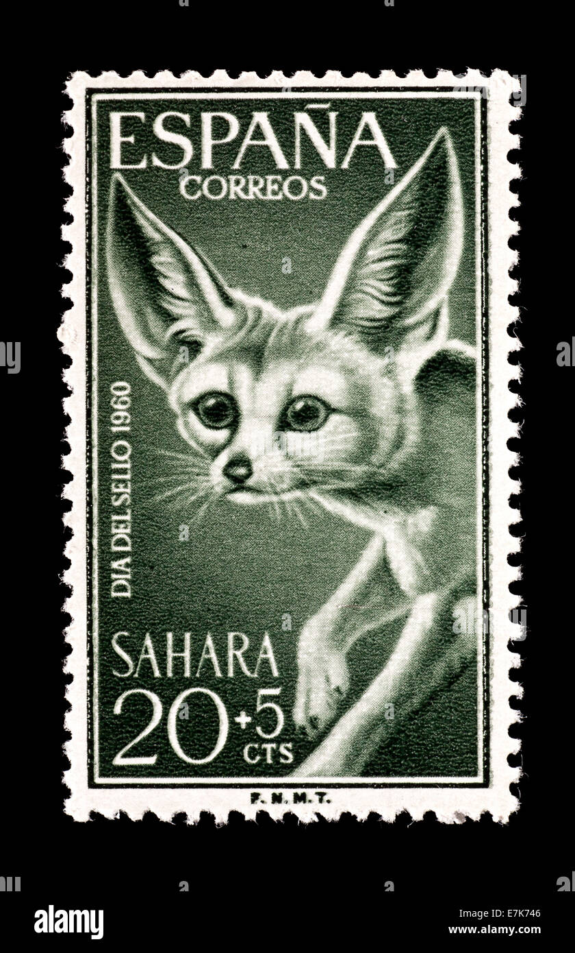 Spanish Sahara High Resolution Stock Photography and Images - Alamy