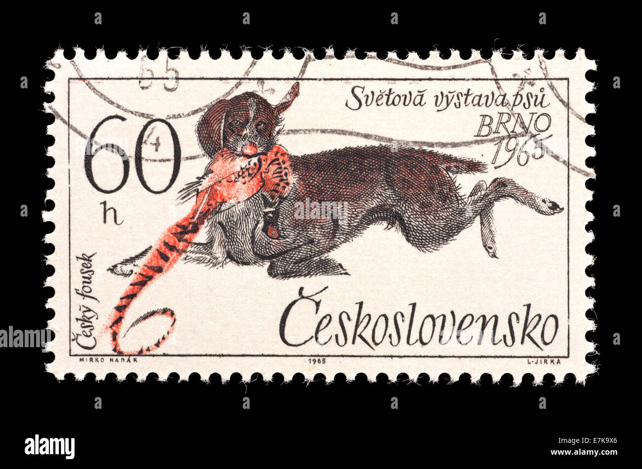 Postage stamp from Czechoslovakia depicting a Czech hunting dog with a ...