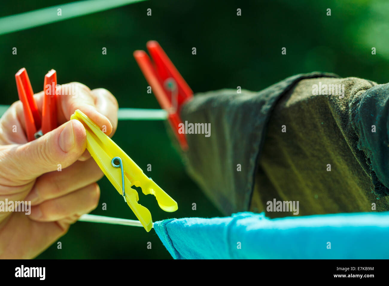 Housework. Woman hand hanging clean wet laundry to dry on the rope ...