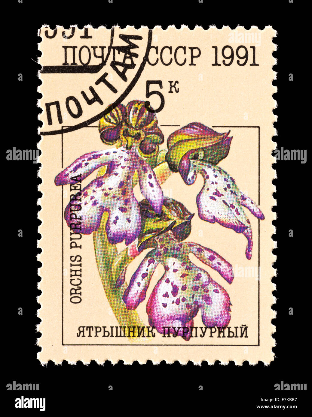 Postage stamp from the Soviet Union (USSR) depicting a lady orchid ...