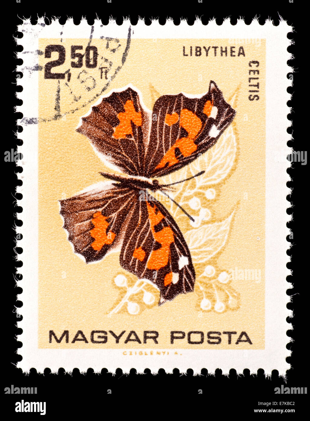 Postage stamp from Hungary depicting a European Beak or Nettle-tree ...