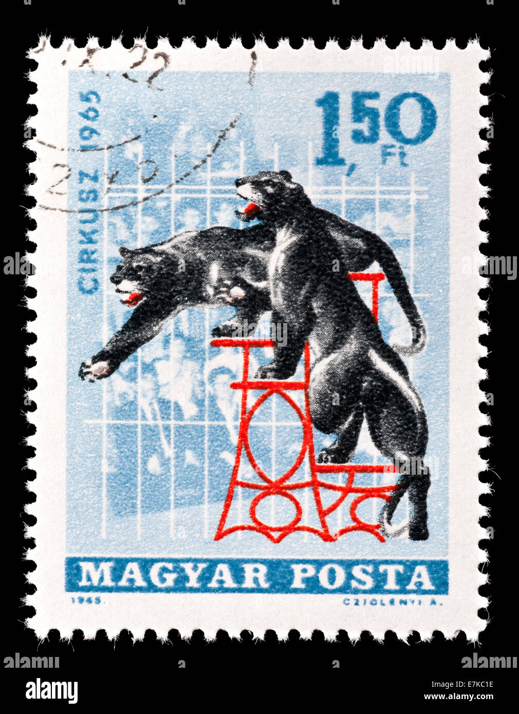 Postage stamp from Hungary depicting trained panthers Stock Photo - Alamy