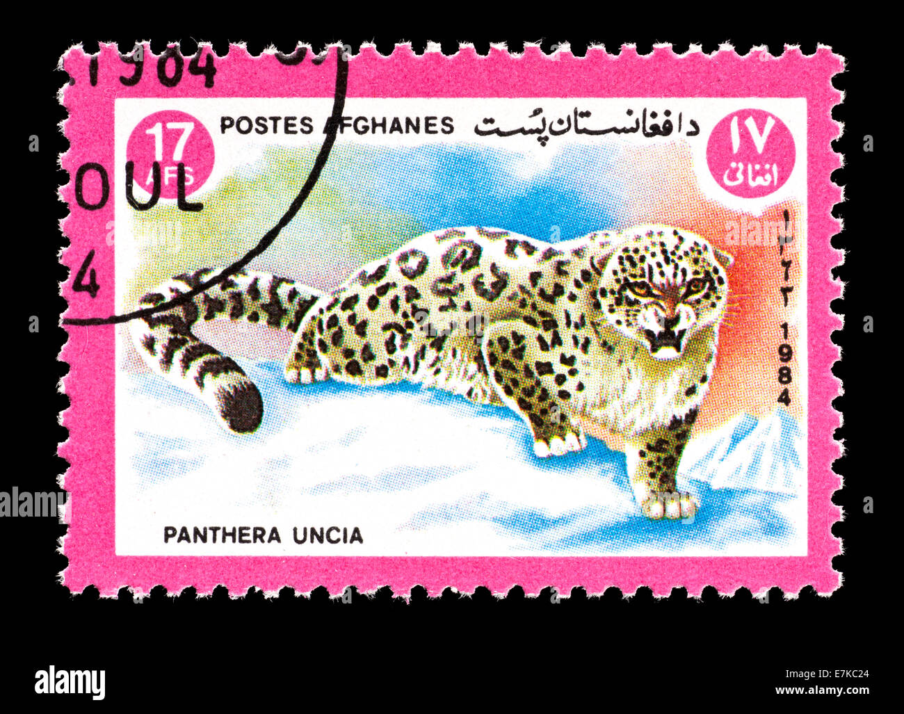 Postage stamp from Afghanistan depicting an snow leopard (Panthera ...