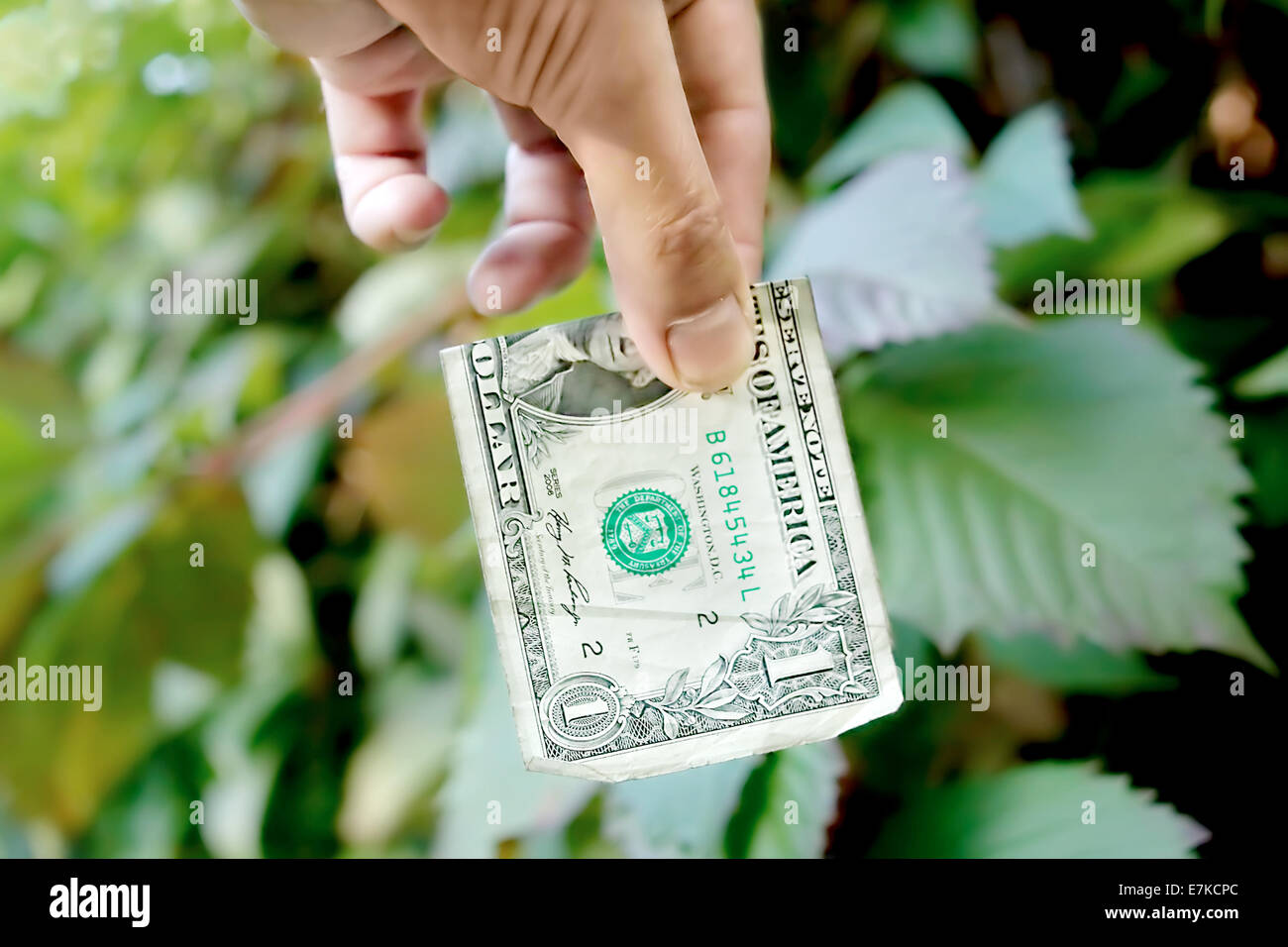 Hand holding one dollar banknote Stock Photo - Alamy