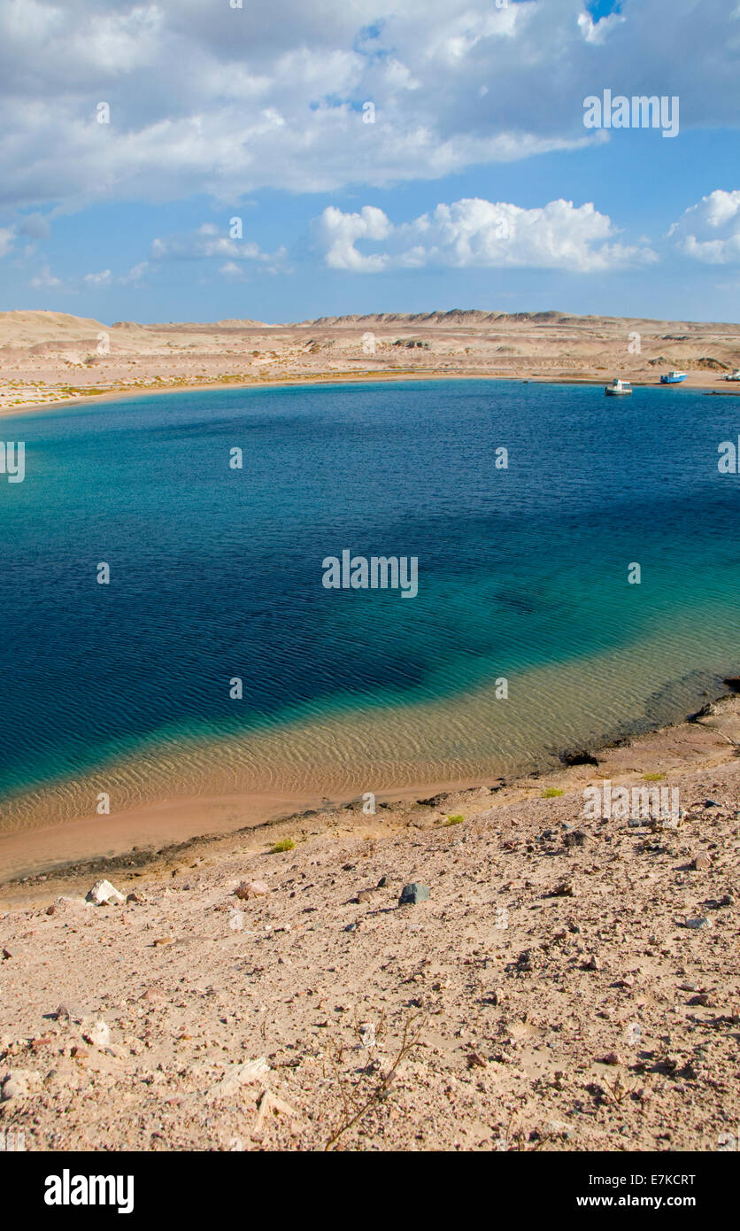 turtle bay on the Red Sea in Egypt Stock Photo - Alamy