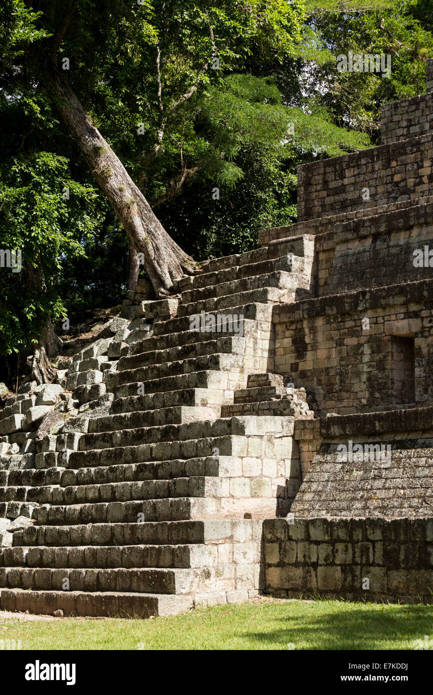 Stairs in Copan Ruinas Archaeological Park, Copan, Honduras Stock Photo ...