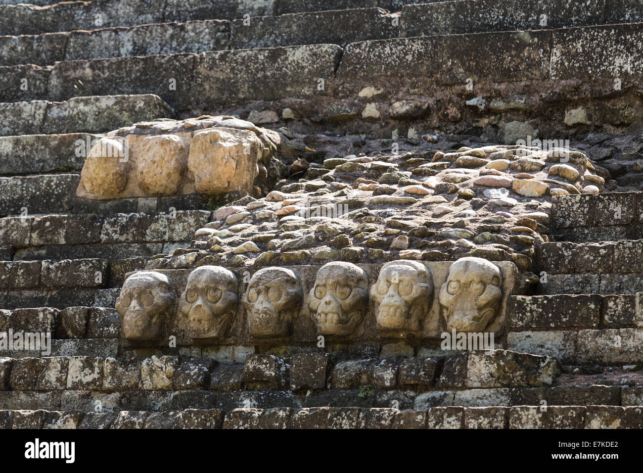 Sculptures in Copan Ruinas Archaeological Park, Copan, Honduras Stock ...