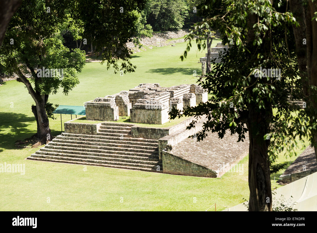 The Great Plaza, Copan Ruinas Archaeological Park, Copan, Honduras ...