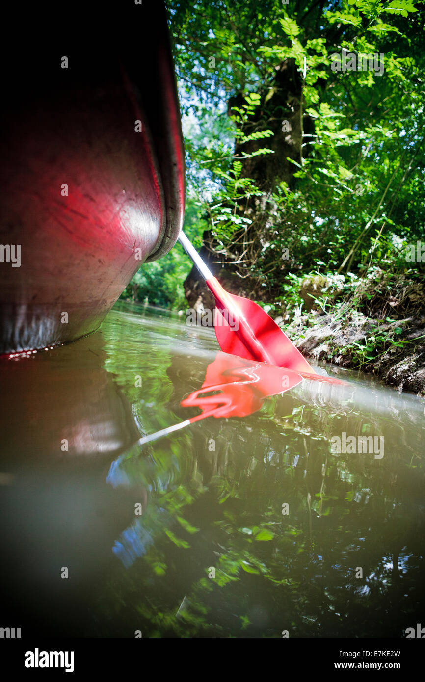 red paddle on river boat canoe kayak journey travel holiday relax grow ...