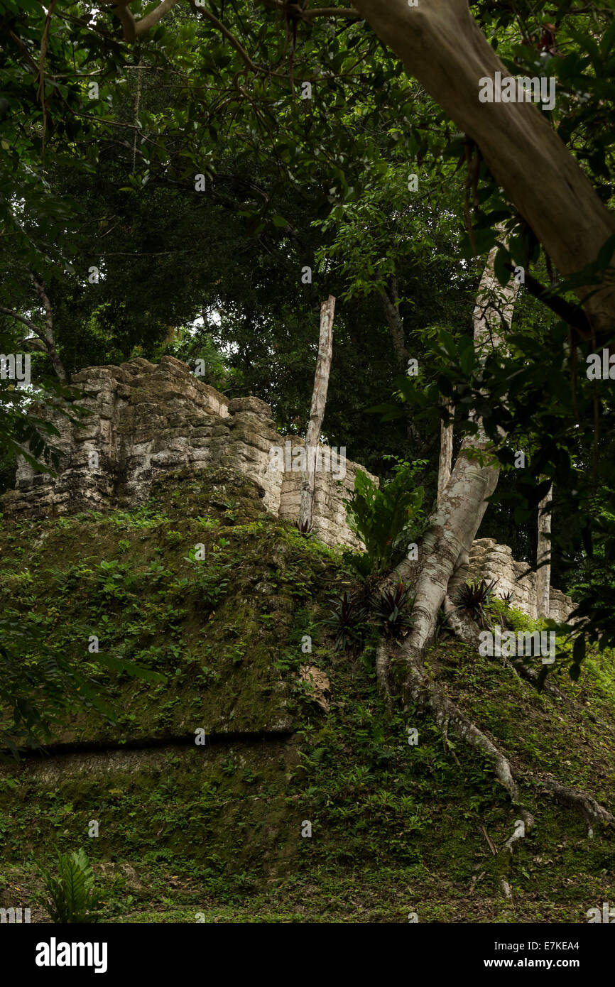 Mundo Perdido, Tikal National Park, El Peten, Guatemala Stock Photo - Alamy