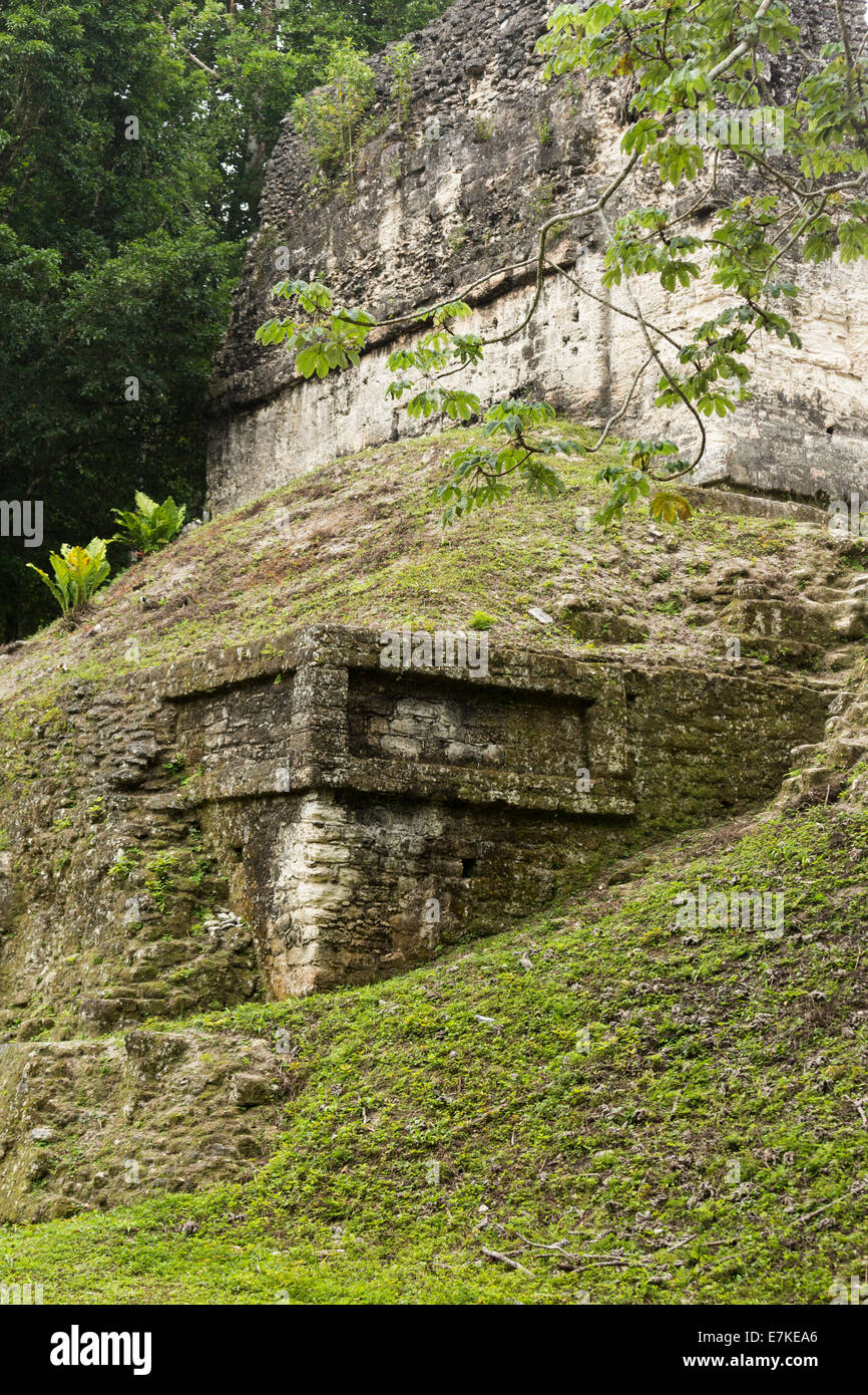 Mundo Perdido, Tikal National Park, El Peten, Guatemala Stock Photo - Alamy