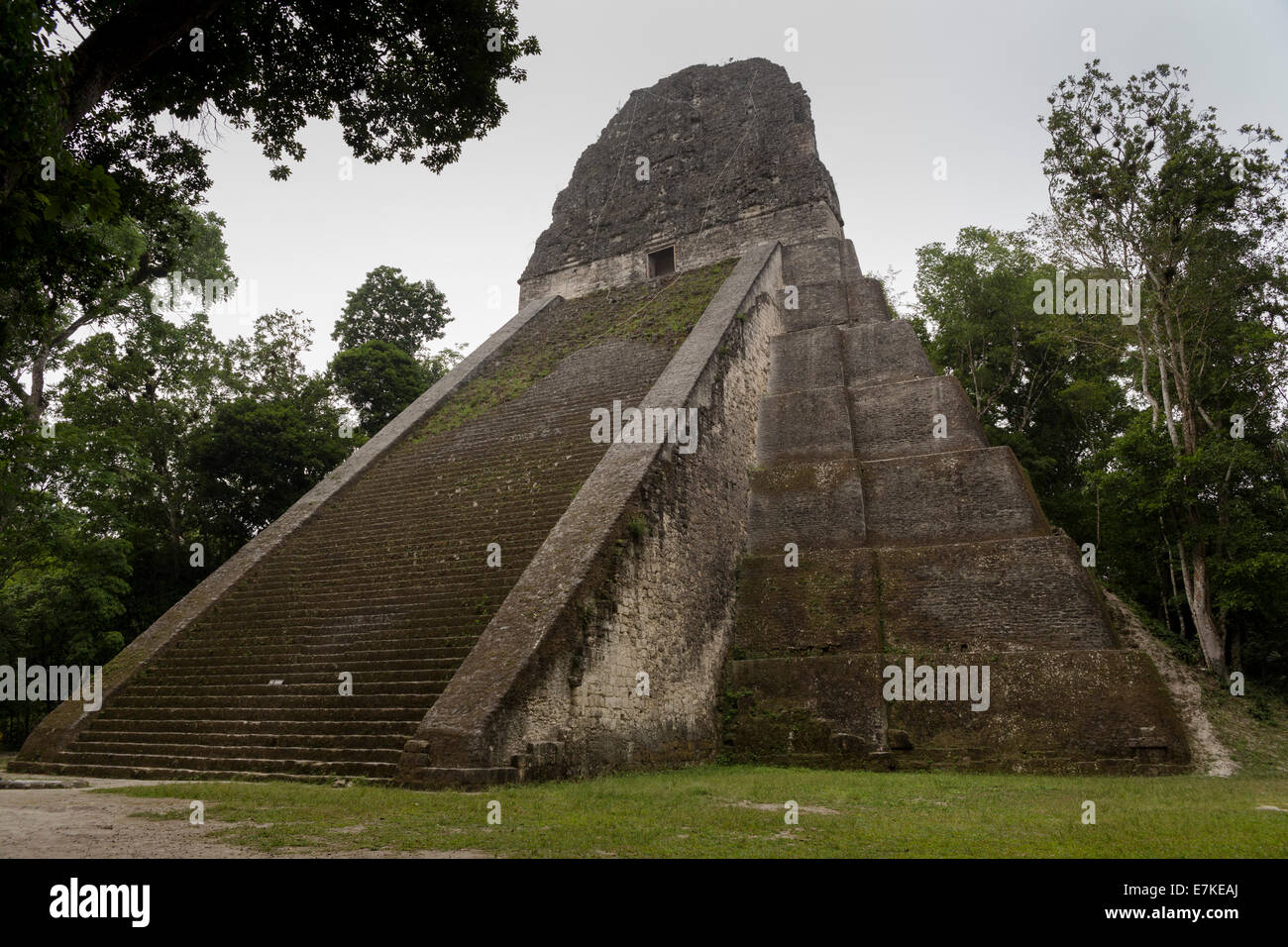 Temple IV, the highest temple in Tikal National Park, El Peten ...