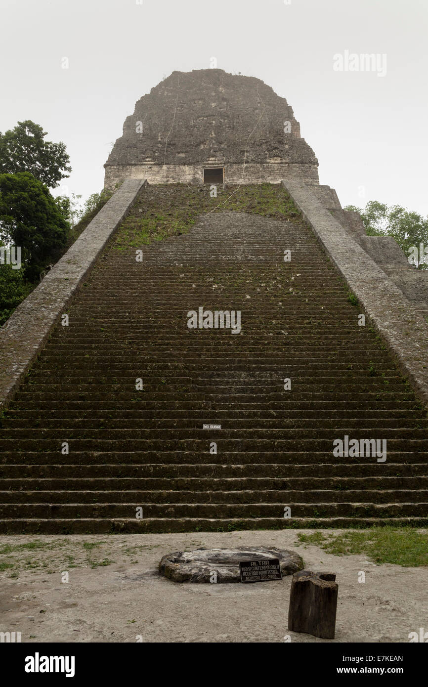 Temple IV, the highest temple in Tikal National Park, El Peten ...