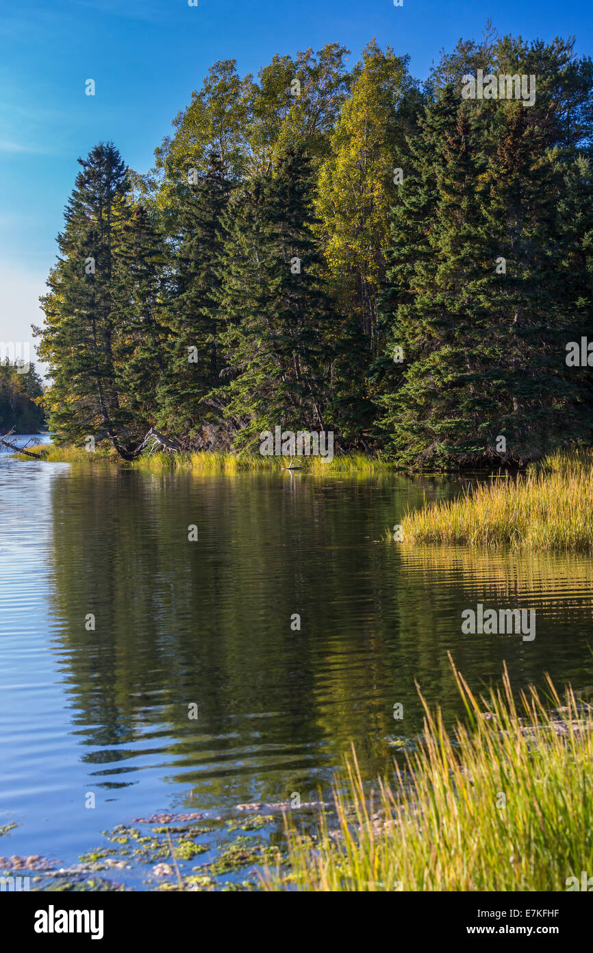 Trout river hi-res stock photography and images - Alamy