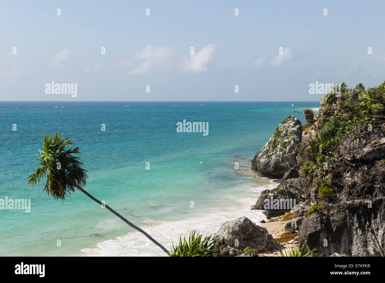 Palm tree, Tulum ruins, Tulum, Yucatan, Mexico Stock Photo - Alamy