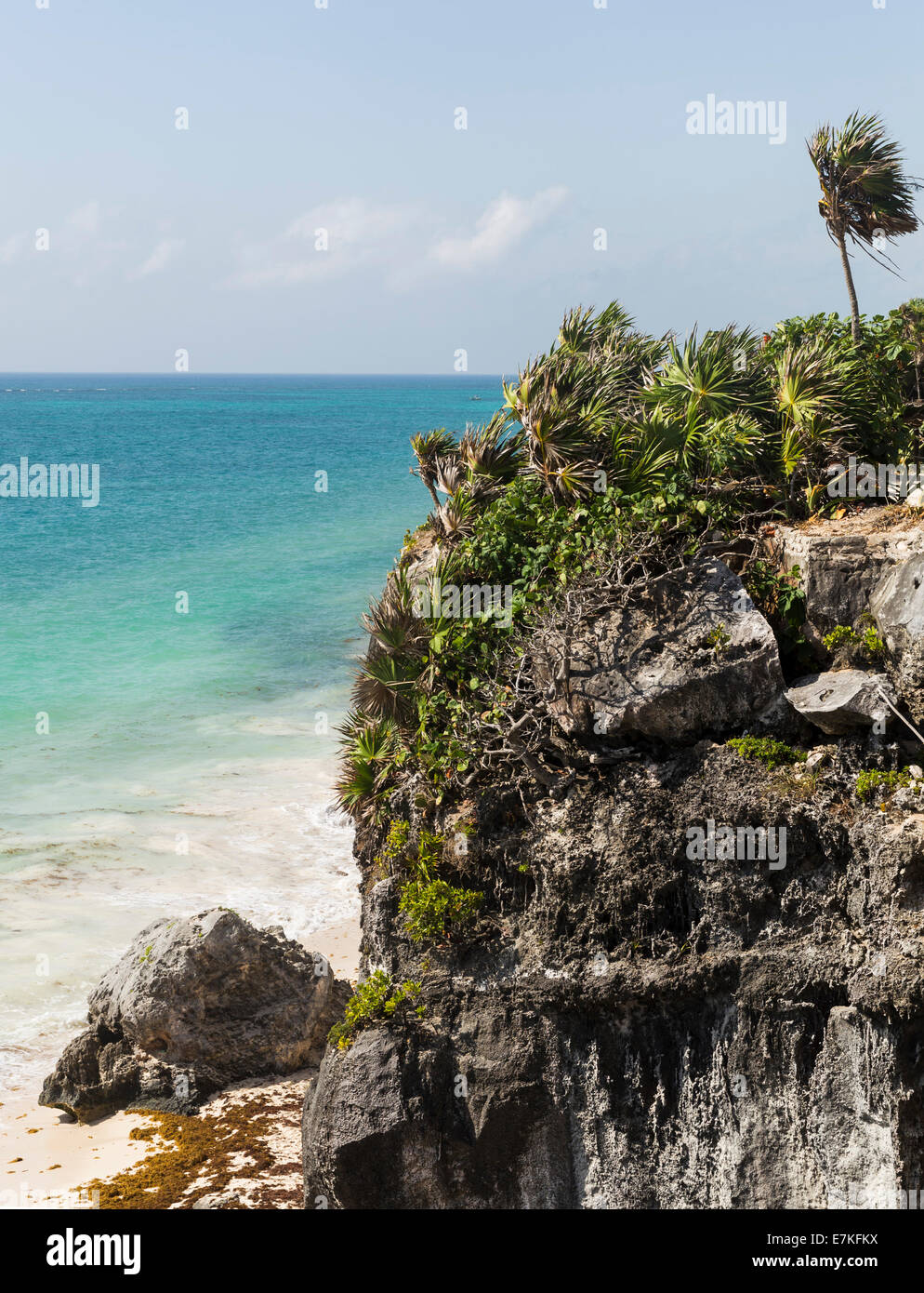 Palm tree, Tulum ruins, Tulum, Yucatan, Mexico Stock Photo - Alamy