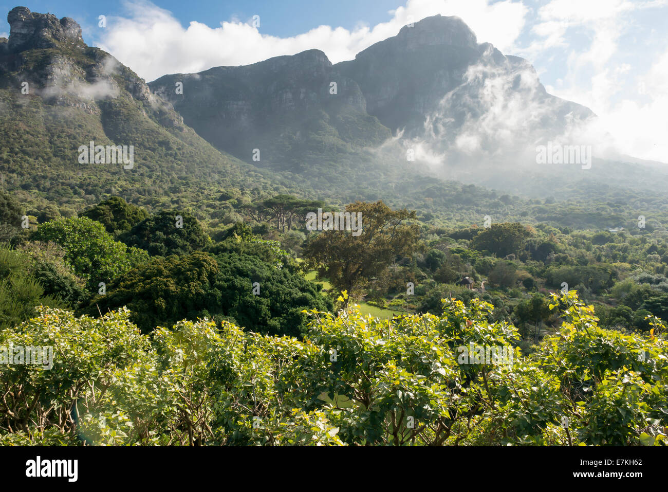 Visitors centre, kirstenbosch cape town hi-res stock photography and ...