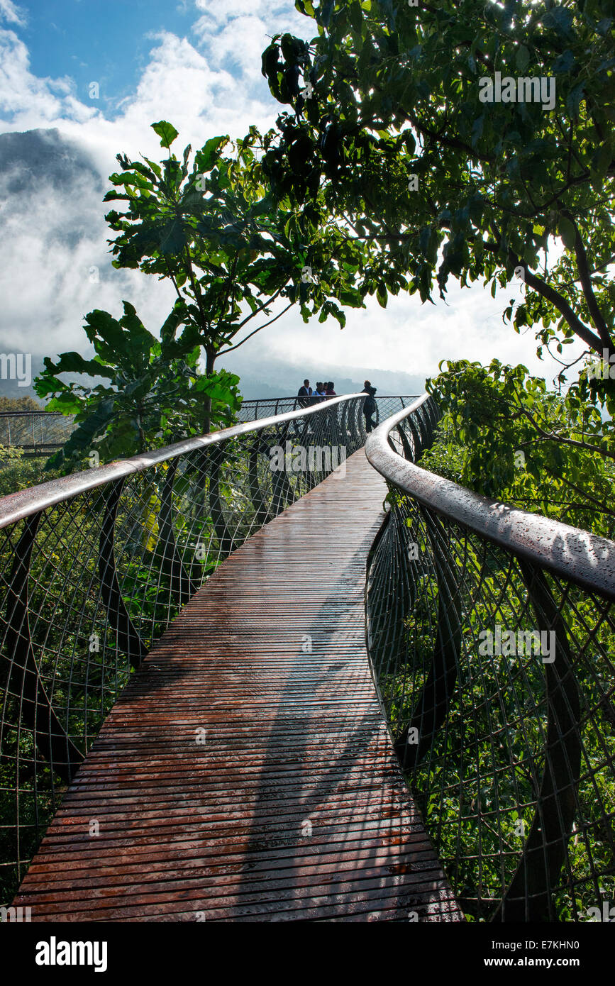Canopy gardens hi-res stock photography and images - Alamy