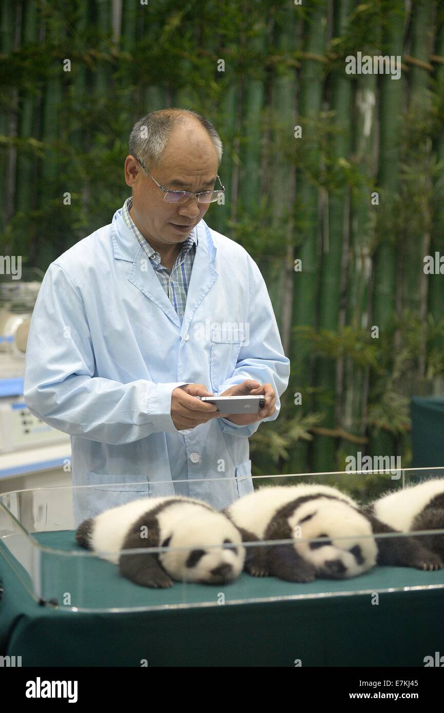 Guangzhou, China's Guangdong Province. 20th Sep, 2014. Former Olympic ...