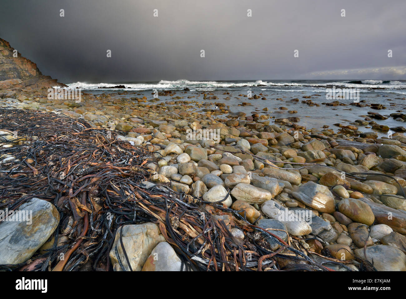 South Africa, Cape of Good Hope, landscape Stock Photo - Alamy