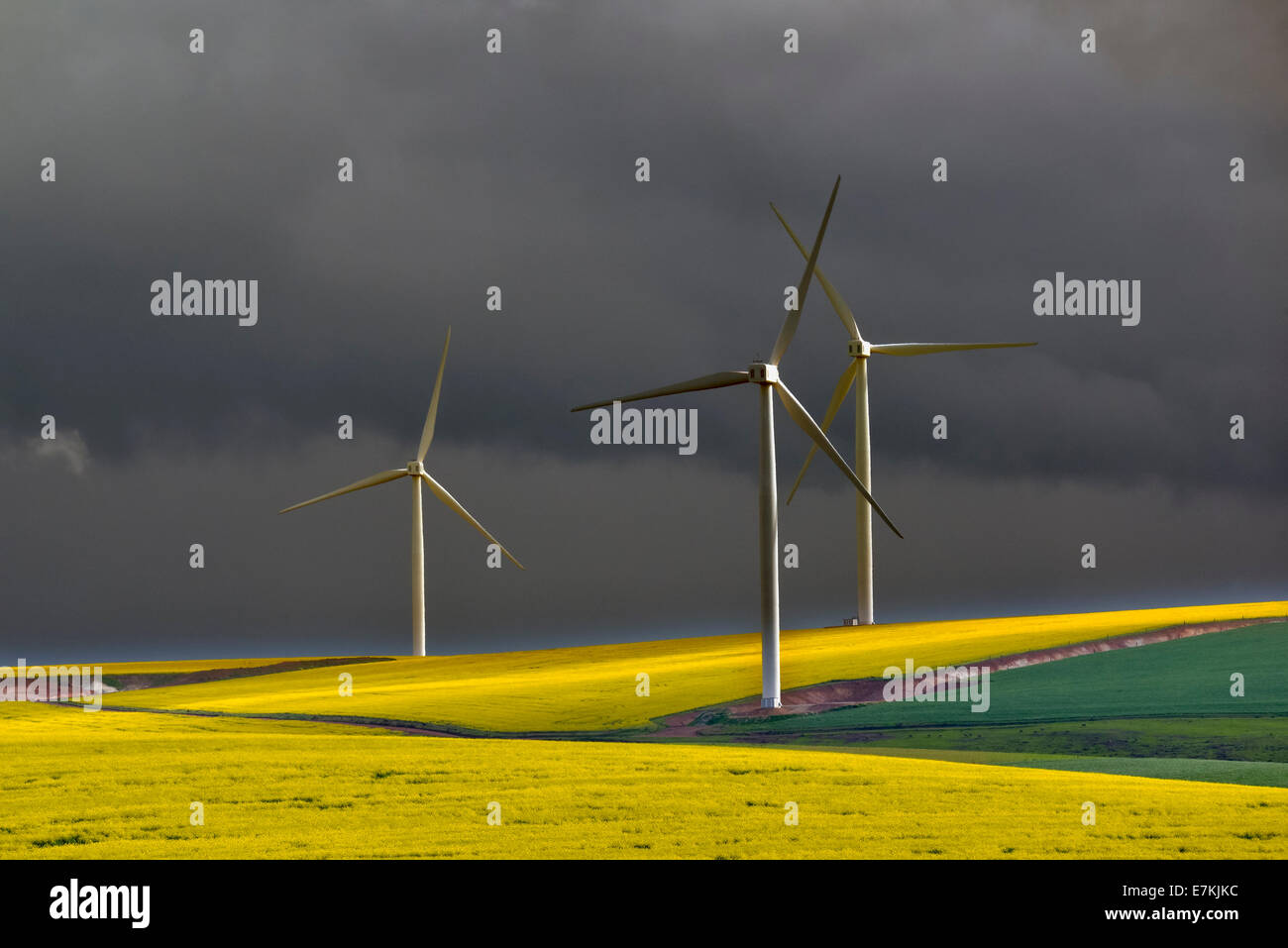 South Africa, wind power plant Stock Photo - Alamy