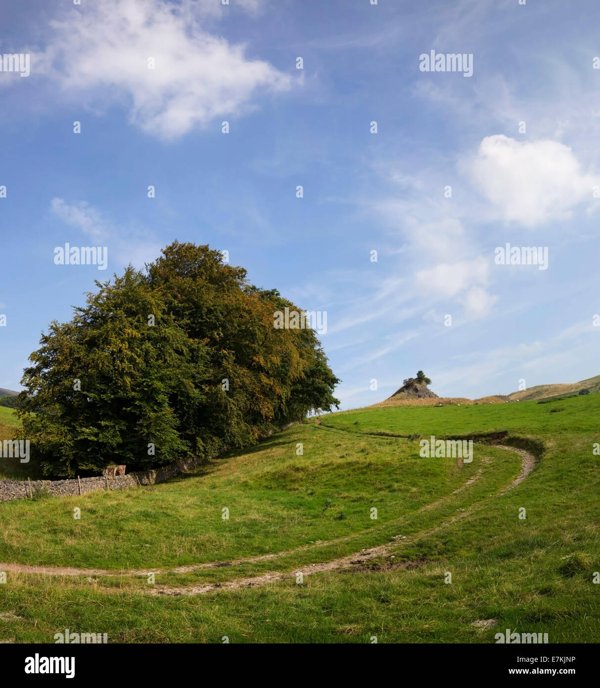 Hillside scene hi-res stock photography and images - Alamy