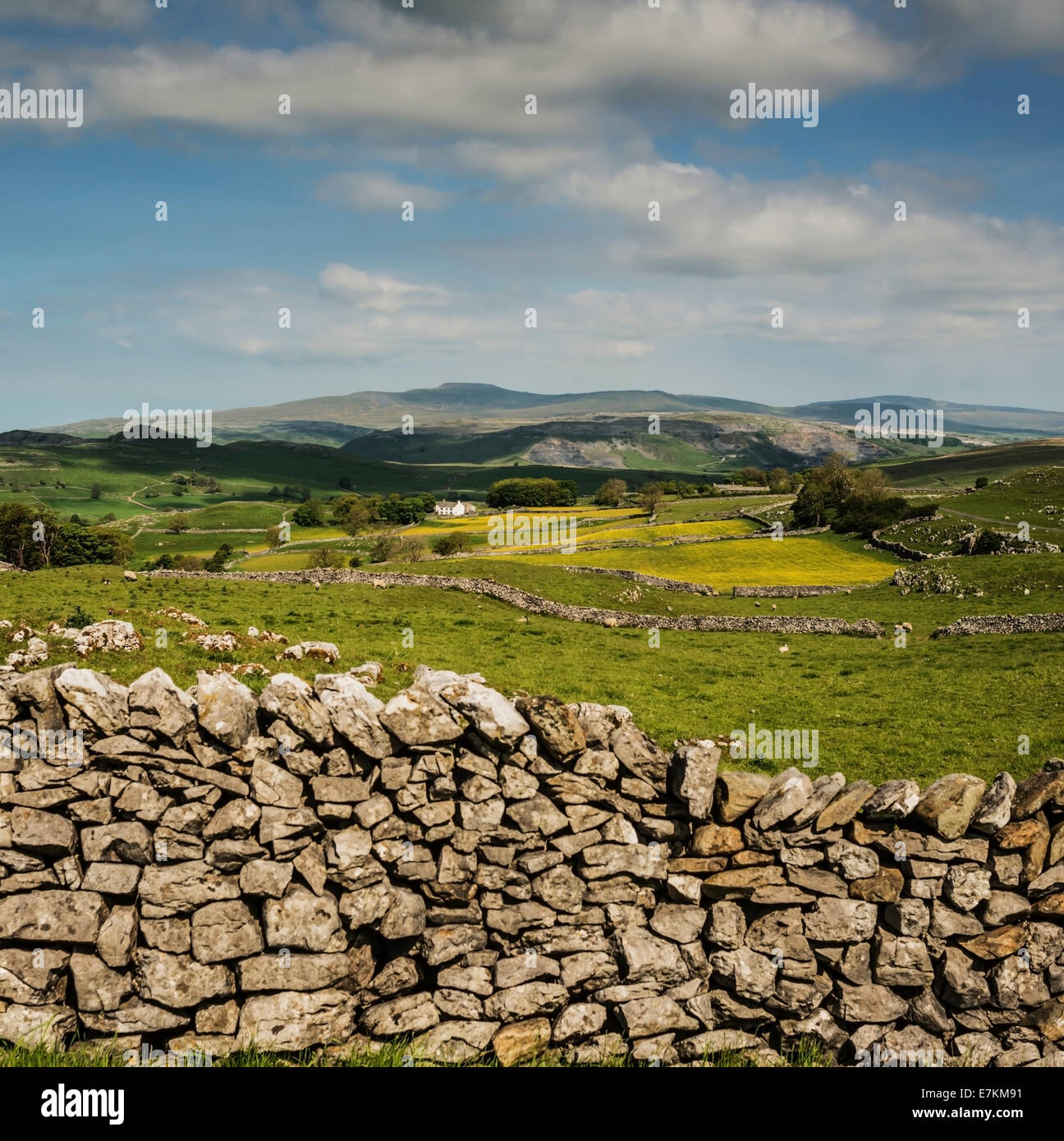 Hill farming in the yorkshire dales yorkshire dales yorkshire hi-res ...