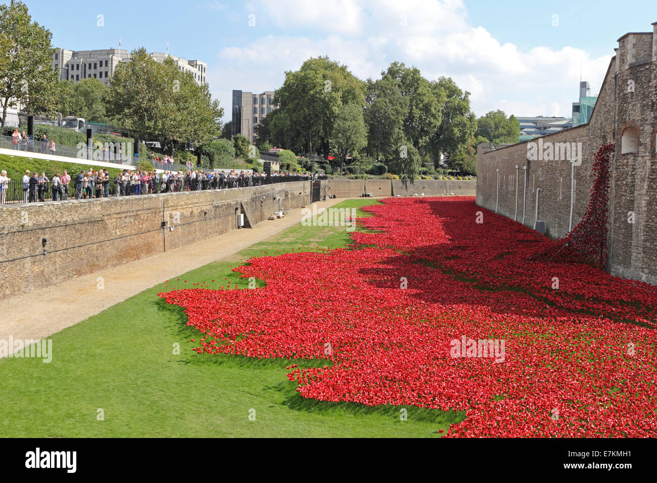 Remembrance Poppies at the Tower of London, England, UK Stock Photo - Alamy