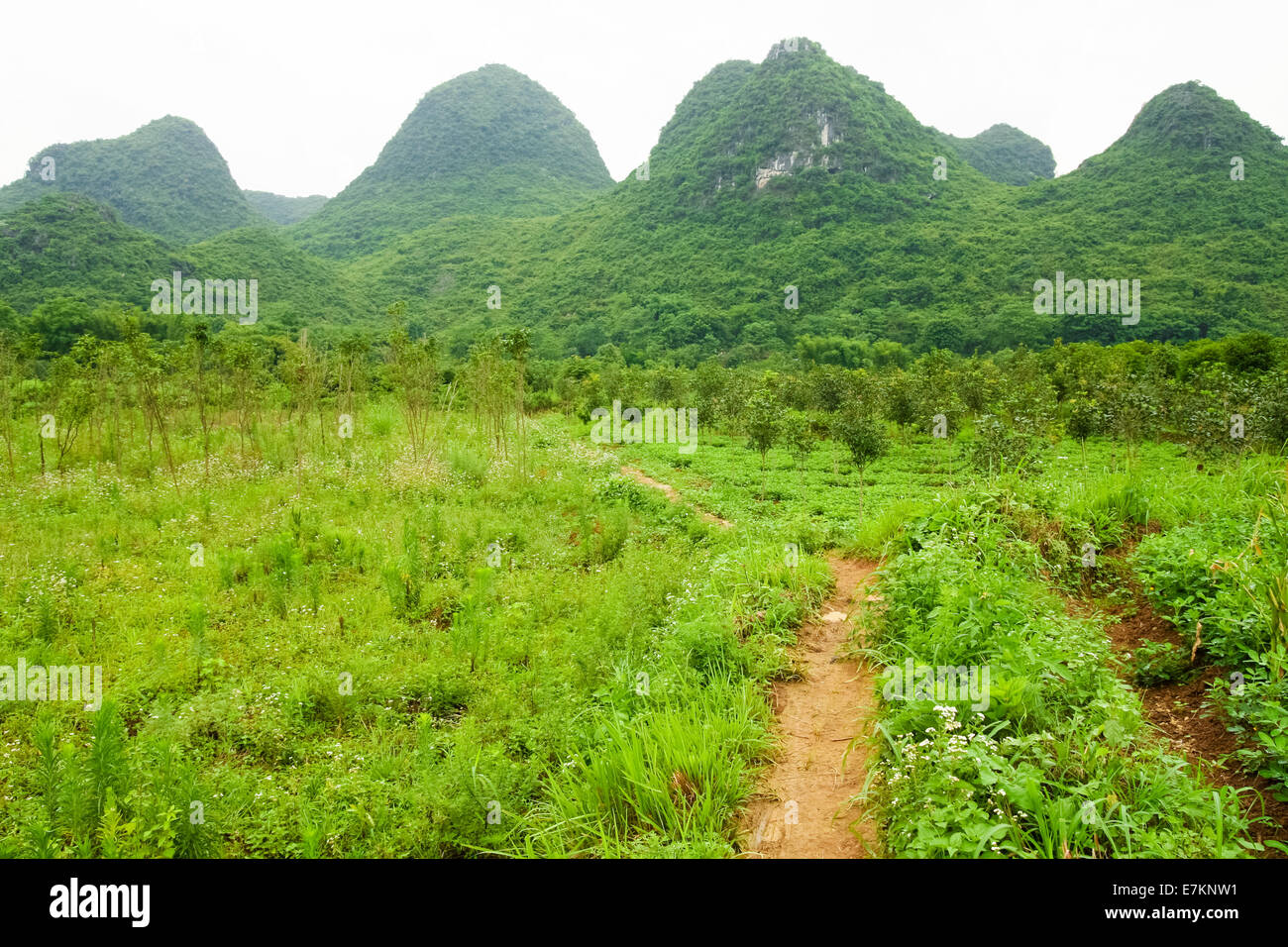 Chinese mountain pathway hi-res stock photography and images - Alamy