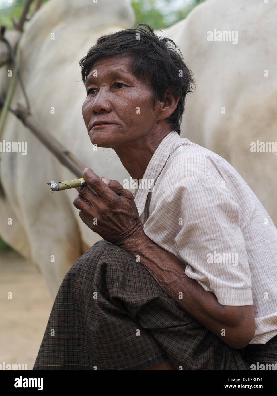 In Burma very much like to smoke tobacco. The peasant sits about the ...