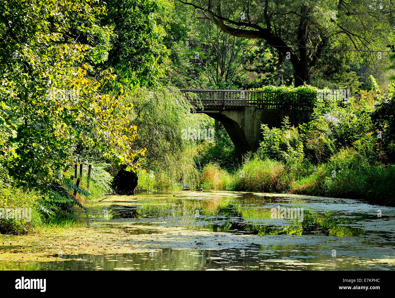 Bridge over river channel leading to island Stock Photo - Alamy