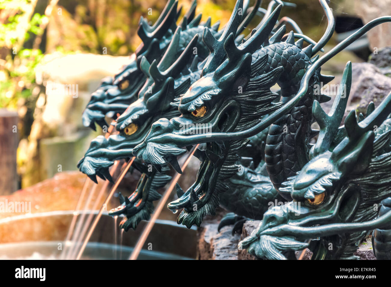 Water flows from a series of dragon heads into a pool at Hakone shrine ...