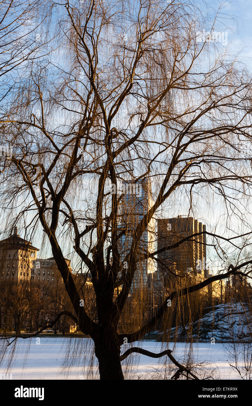 US, New York City, Central Park. Harlem Meer Stock Photo - Alamy