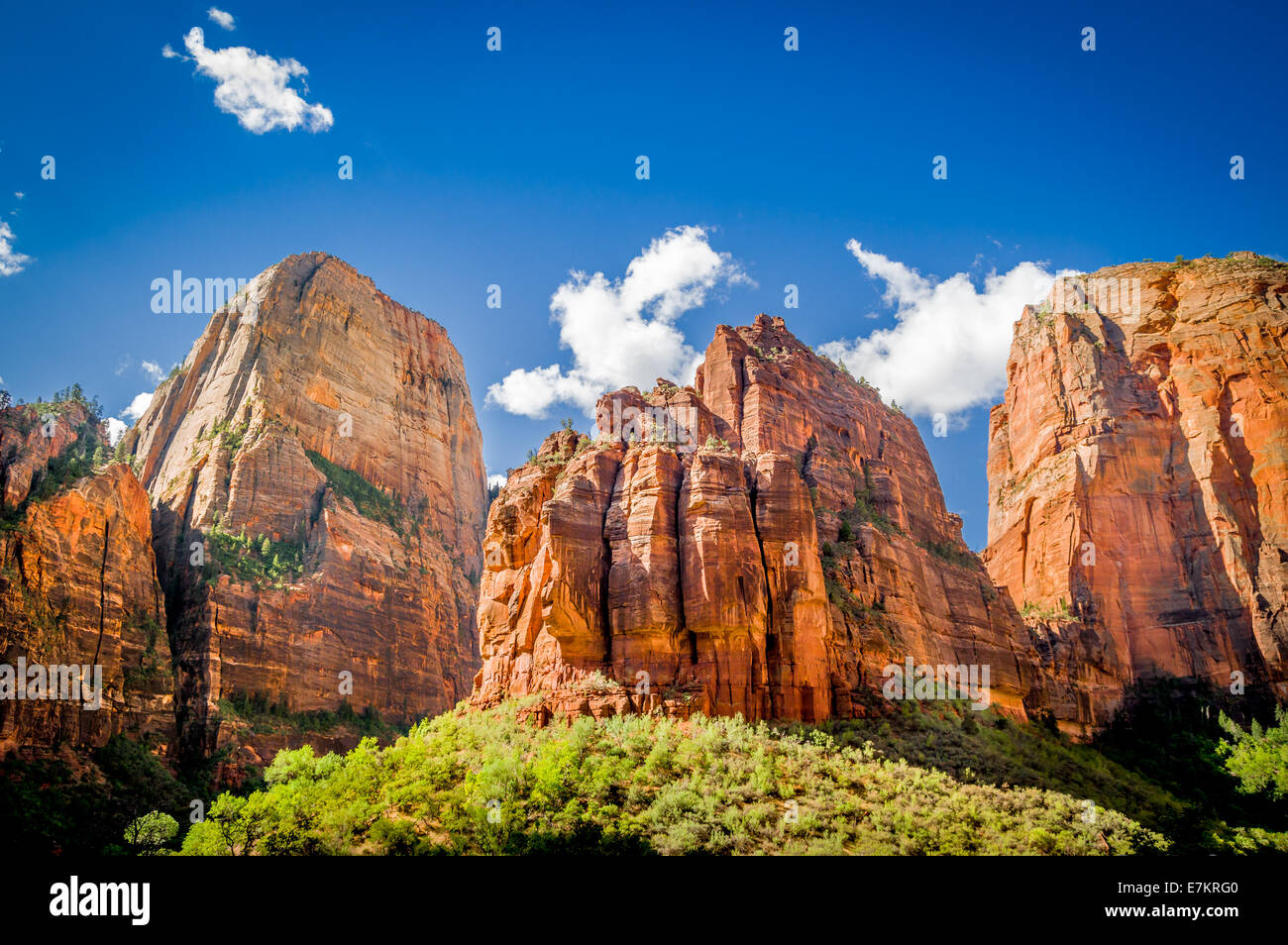 zion national park landscape Stock Photo - Alamy