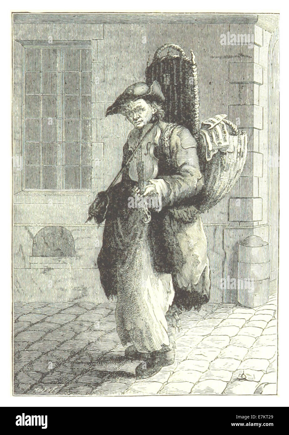 Particular features Cut Out Stock Images & Pictures - Alamy